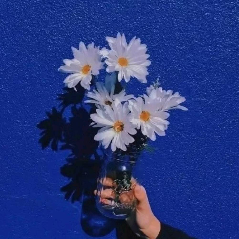 2025年电信流量卡29元套餐深度解析｜185G+100分钟通话｜官方授权办理渠道全攻略_通用_视频_限制