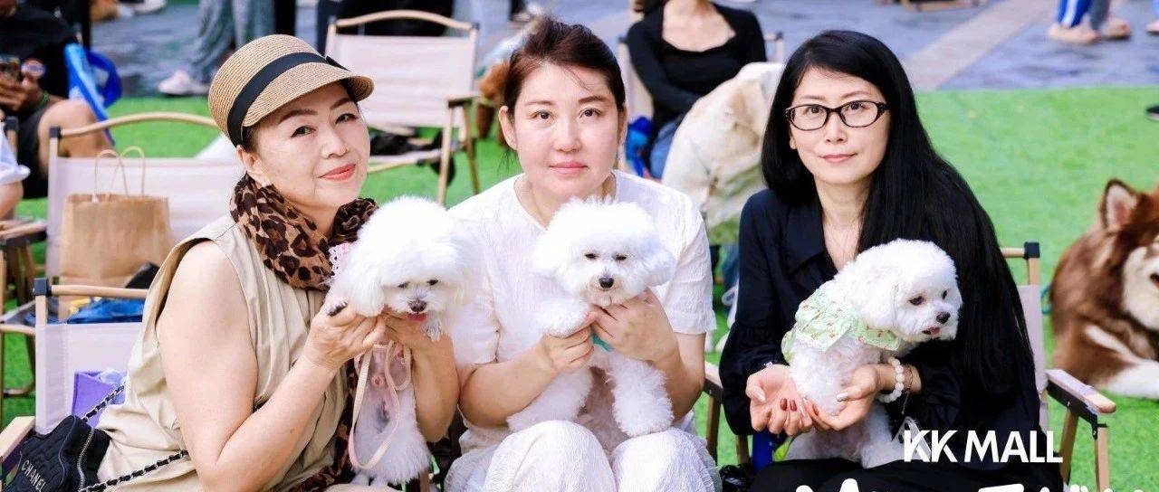 精彩分享: 11.16，周六，罗湖KK MALL宠物活动现场快报来啦！明天继续～_毛绒绒_运动_照片