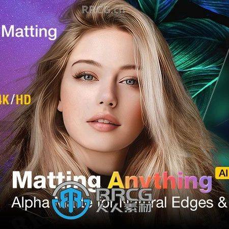 Digiarty AIArty Image Matting AI图像抠图软件V2.0版_背景_处理_效果