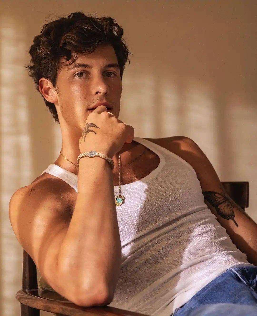 Shawn Mendes 新专辑首周销量两万四！_音乐_变化_个人