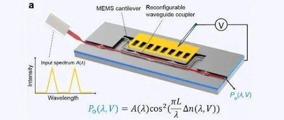 MEMS芯片级计算重构型光谱仪，实现精确、宽谱和节能的光谱分析_工作_方案_团队