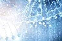 Front Pharmacol：DDIT4/mTOR信号通路介导斑蝥素诱导的肝毒性和细胞损伤_检测_代谢_Beclin