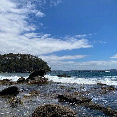 【异动股】Bowen Coking Coal (ASX:BCB)昆州Burton综合体北部矿坑煤炭资源量储量大幅扩增_公司_兴业_Daryl