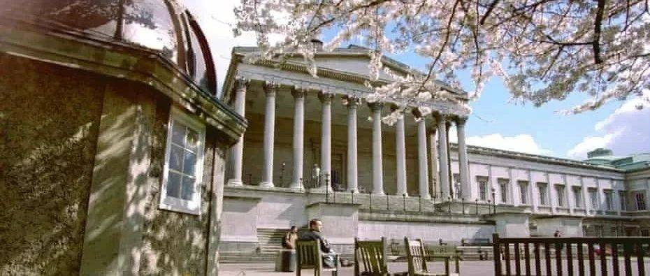 盘点UCL新开6个本科专业，2025年申请英国G5可冲！_伦敦大学学院_科学_艺术