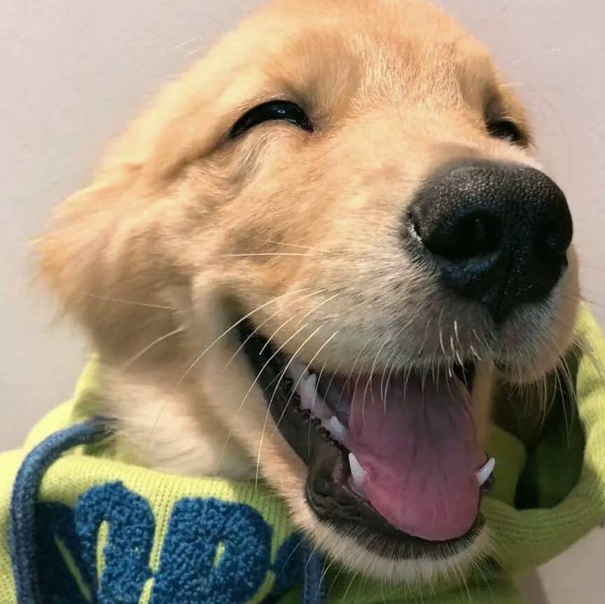 超200万人等待的《731》，为何缺席了731？_电影_影片_赵林山