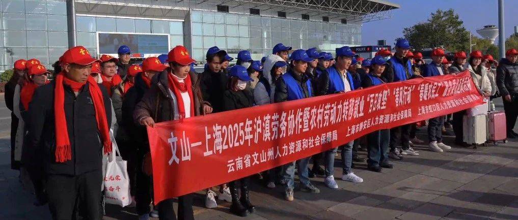 “点对点”返岗！各地多举措保障外出劳动者温暖复工_上海市_就业_用工