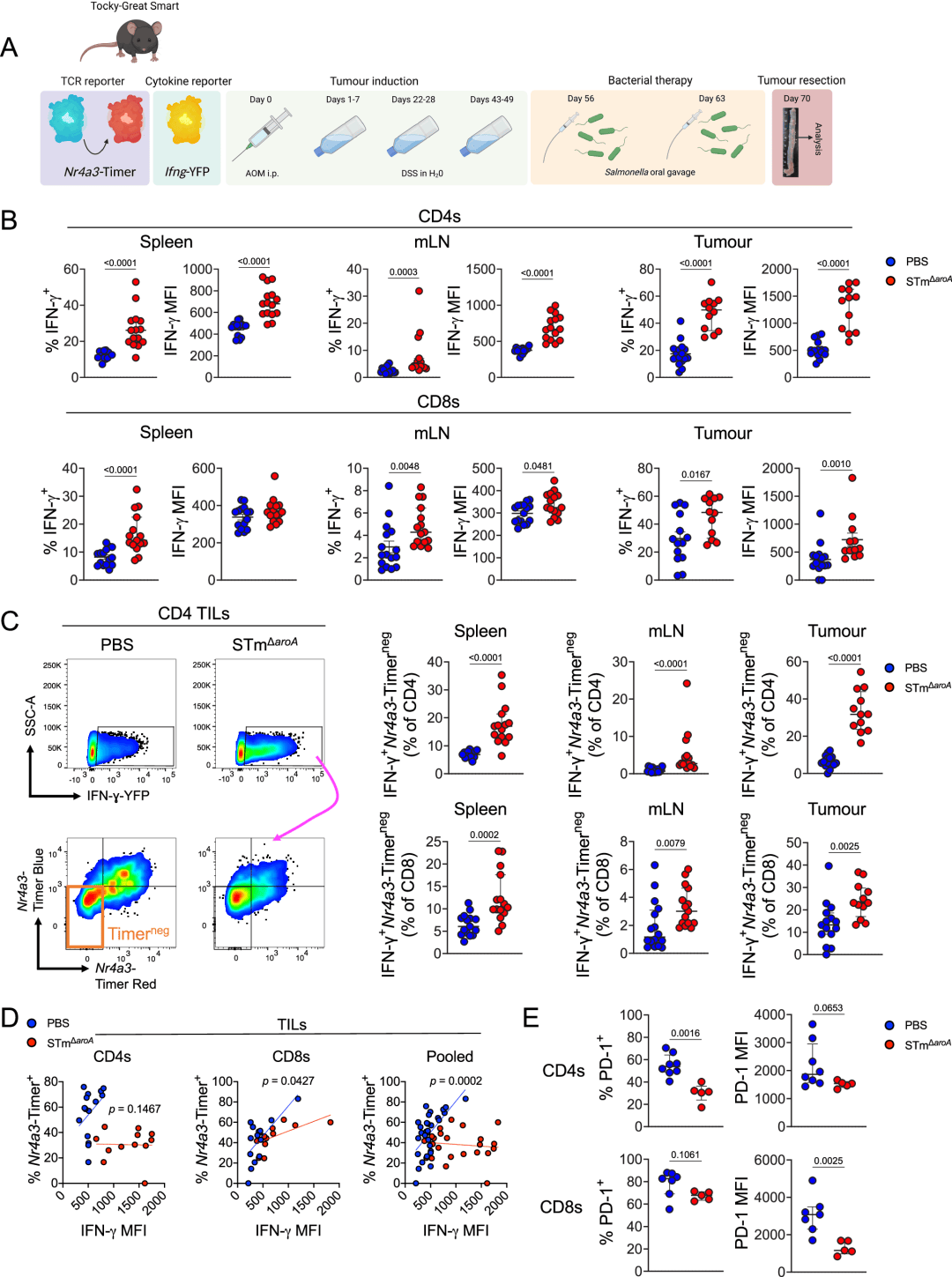 细菌抗癌疗法的新突破！EMBO Mol Med | 科学家有望利用沙门氏菌来开发治疗人类肠癌的新型细菌癌症疗法_细胞_研究