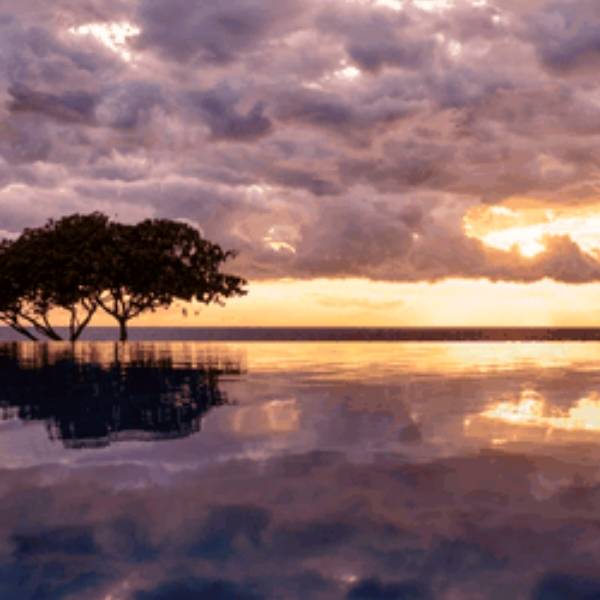 Steamid在哪查看 Steam加好友的几种老玩家常用方法_游戏_用户_方式