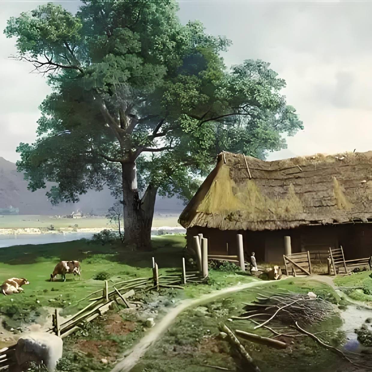 素手巧制熊掌味：解码赛熊掌的匠心传承与饮食哲思_食材_牛筋_口感