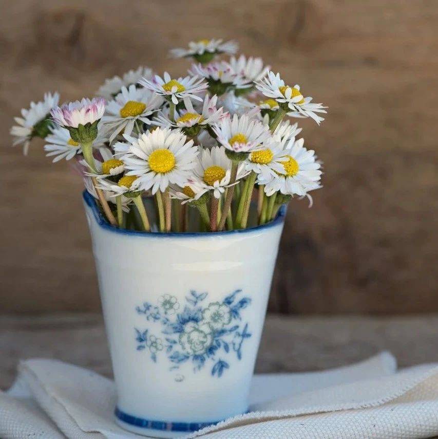 量（深度好文）_张骞_历史_沈麟