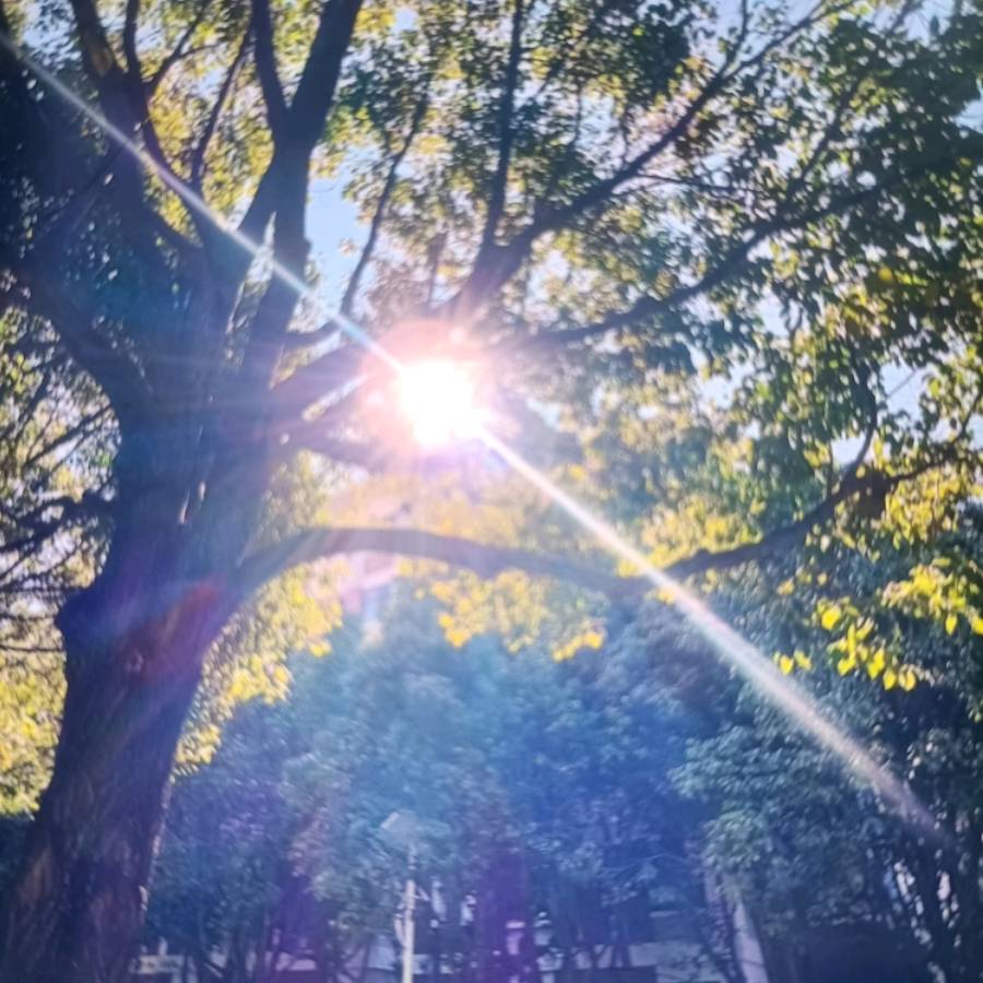 《暗黑4》S8 PTR明天上线 击杀Boss后可获得其能力-_敌人_幻影_伤害