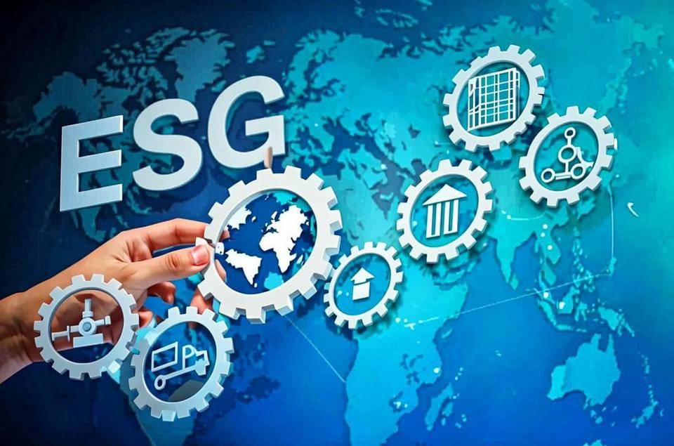 ESG新视界|助力企业可持续发展，ESG有何神通_投资_的发展_员工