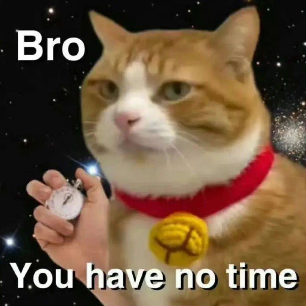 26Fall必看：香港设计硕士申请关键点全解析！_design_offer_同学