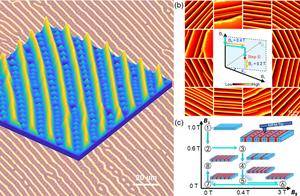构建大规模、可控和室温稳定的高定向斯格明子赛道阵列 | 进展_FeGaTe_结构_物理