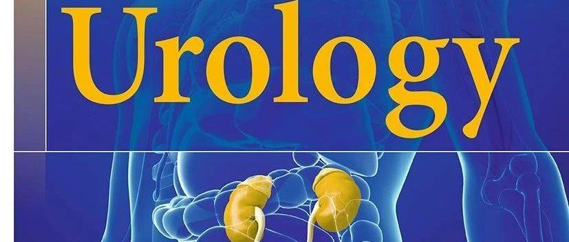 FANS技术在双侧肾结石治疗中的应用效果评估 | World Journal of Urology_手术_研究