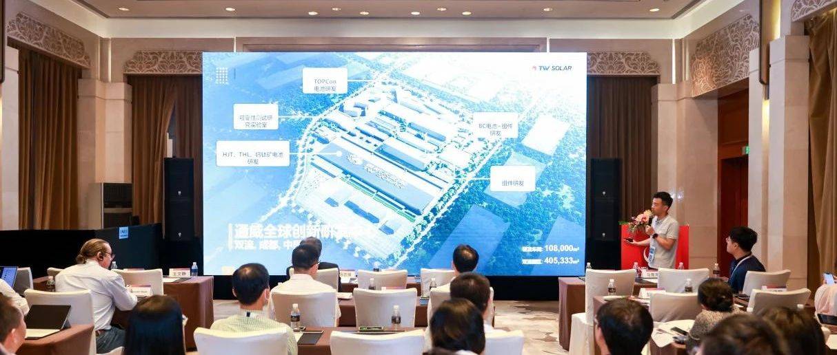 直击SNEC丨通威与行业共话N型技术新篇_组件_通威股份_电池