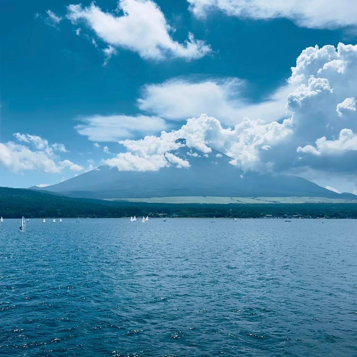 陕西联通19元188G套餐，联通庆云卡靠谱吗_流量_通用_消耗