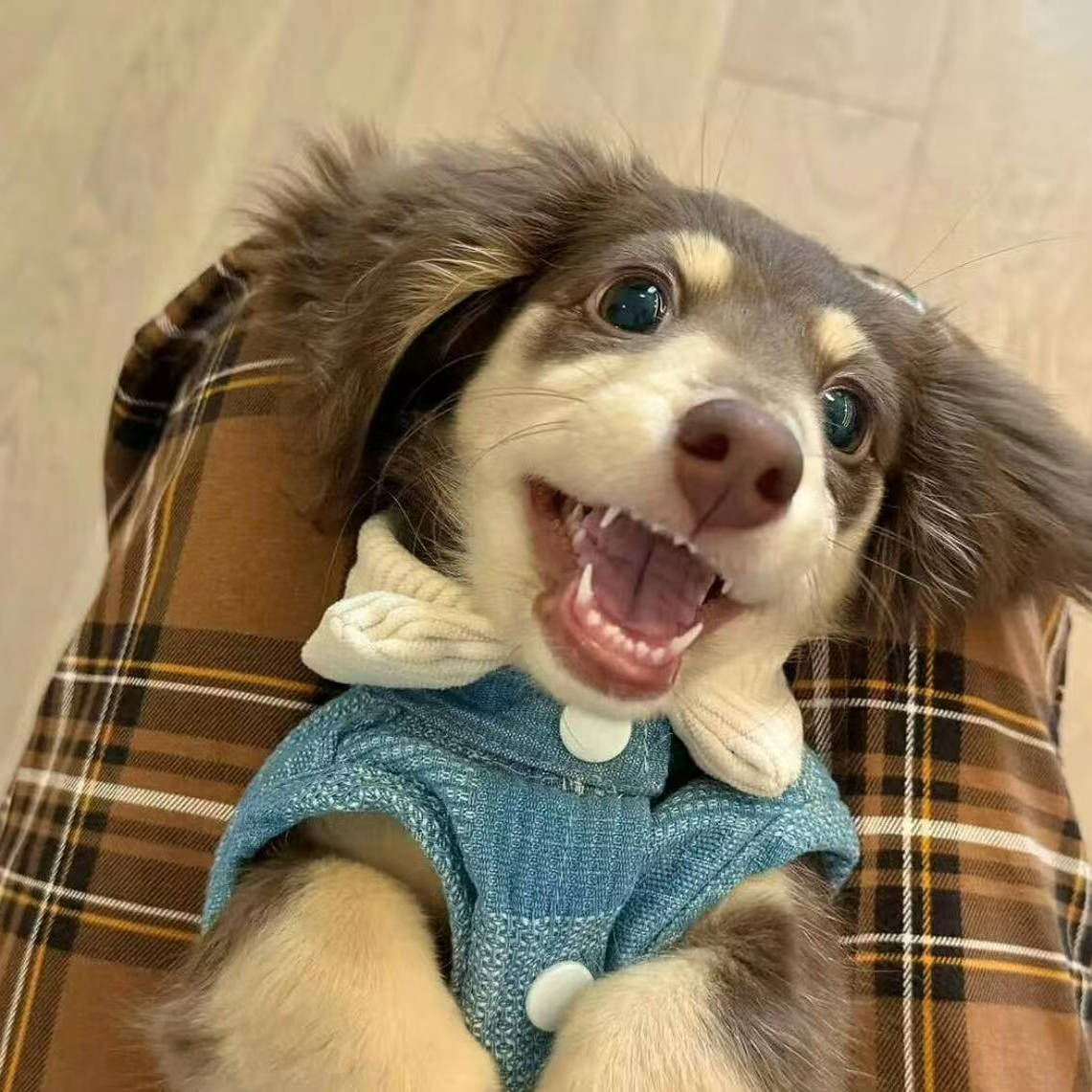 平民开局攻略指南《指尖像素城》_输出_敌方_阵容