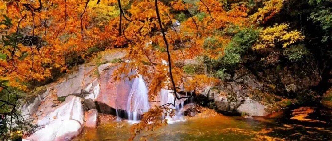 10月10、12、20日金秋十月秦岭巴蜀赏秋：相约光雾山-为你翻山越岭（内蒙独立团，2+1陆地头等舱7日游1880元）_行程_费用_旅游