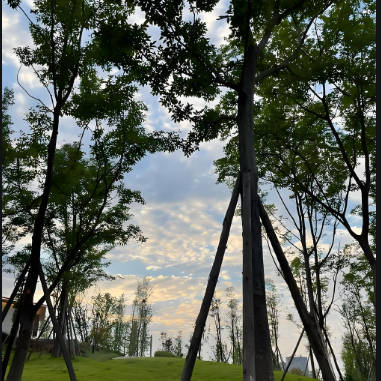 爆冷挺进决赛 KT 3-1掀翻GEN 进入决赛_Bdd_Ruler_团战