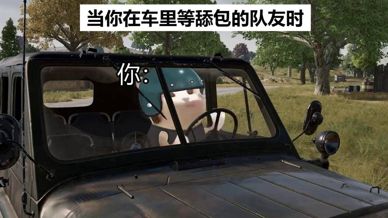 总有墨迹的队友cheems pubg cheems小剧场