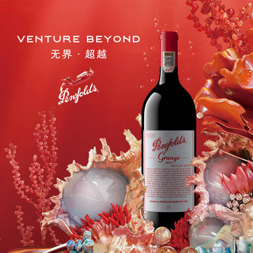 奔富BIN95干红：一瓶酒，开启你的优雅晚宴！_轩尼诗_场合_父子