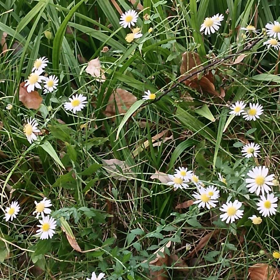 英超巅峰对决：切尔西vs曼城，谁能笑到最后？_比赛_球员_较量