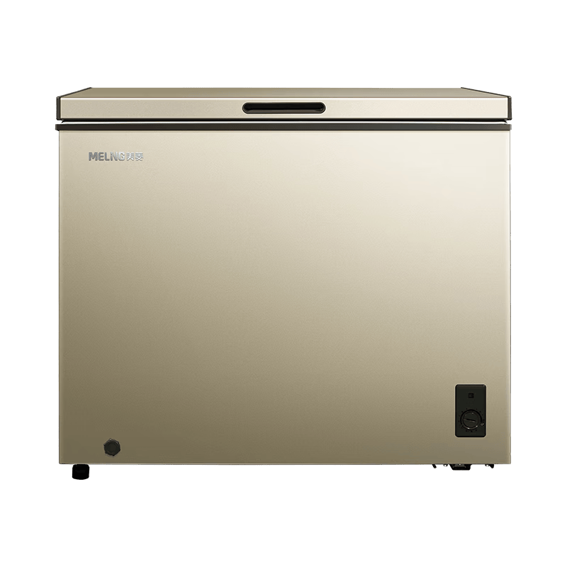 2025年家用冰柜推荐：节能高效，保鲜持久的必备选择_家庭_环保_设计