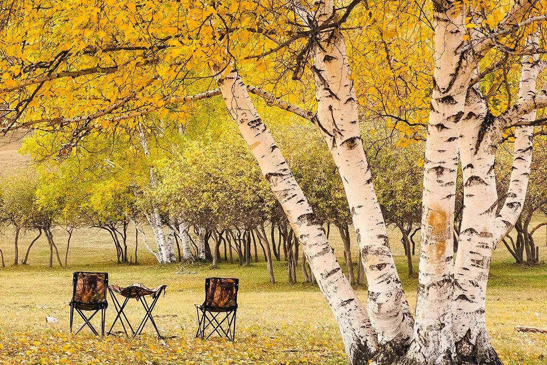 把时间留给自己_象限_徐世贵_本溪市