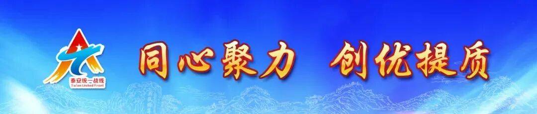 凝聚新力量、筑梦新时代——2025年全市新的社会阶层人士统战工作回顾_发展_活动_泰安市