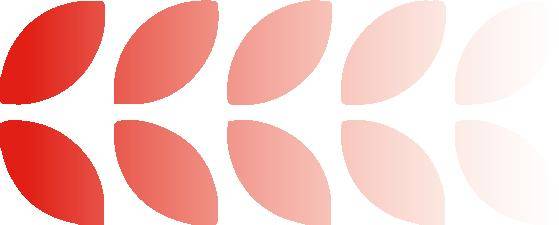 【聚焦基层两会】包河区人民检察院工作报告速览_监督_金融犯罪_法治