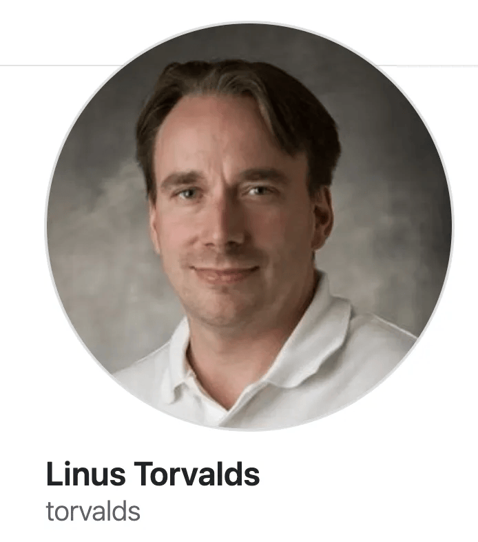 活久见！连Linux之父等“顽固派”大佬，都在用AI编程了_Linus_Vibe_Coding